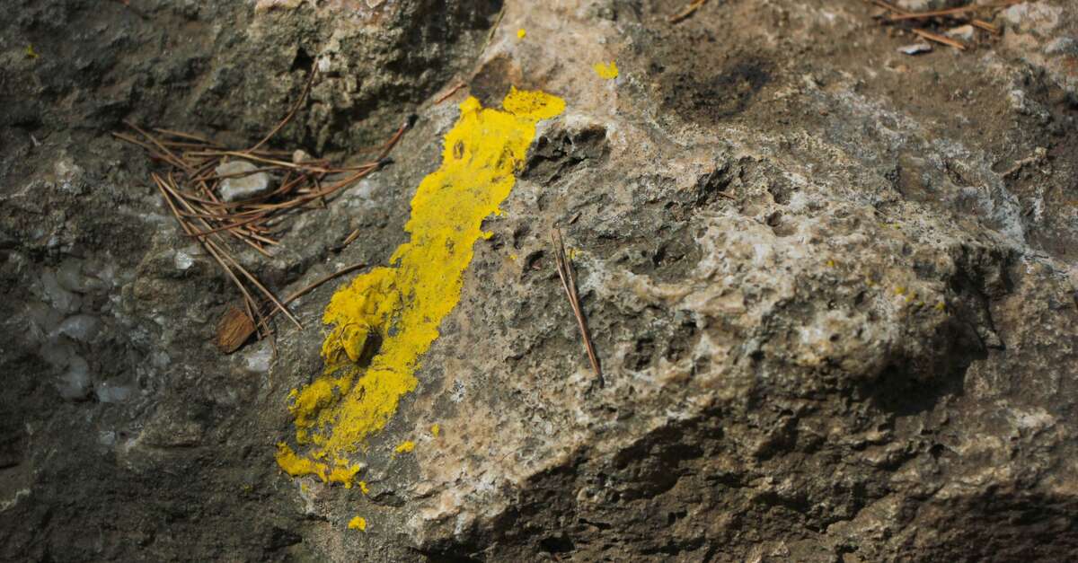 The littoral path between Port d’Alon and Bandol (Saint-Cyr-sur-Mer ...