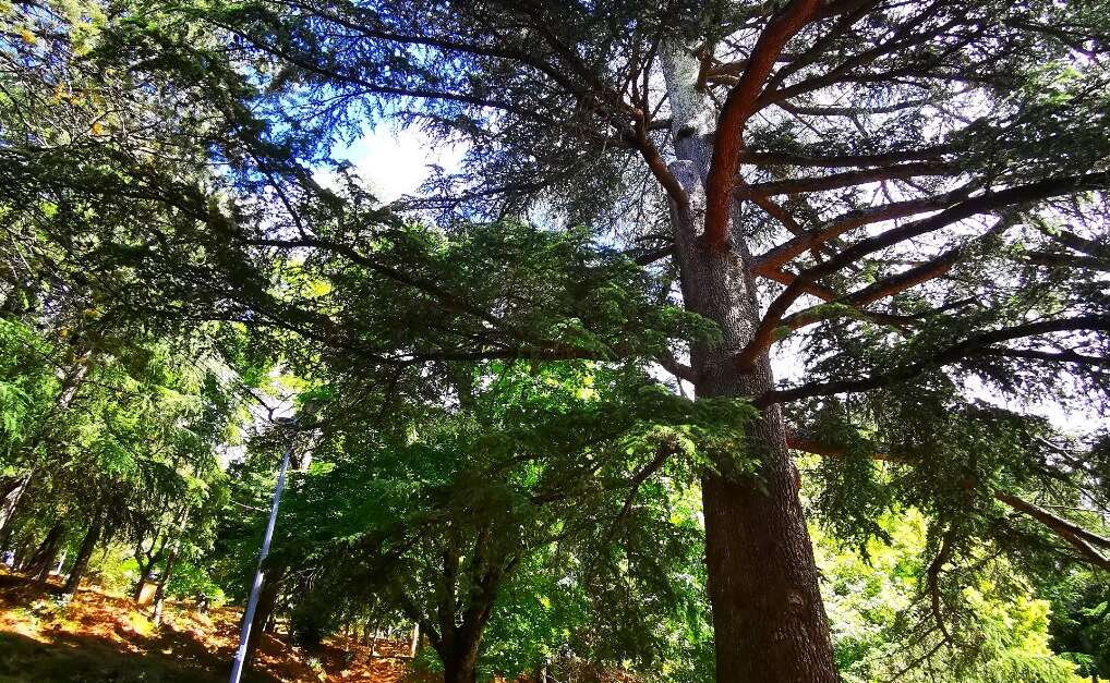 Parc Saint Roch (Collobrières) | Provence-Alpes-Côte d'Azur Tourisme