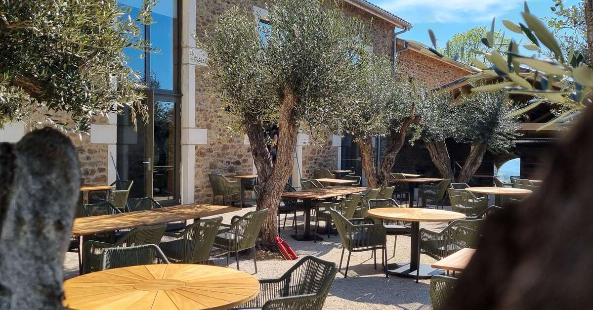 L’Oliveraie (La Chapelle-Villars) | Loire Tourisme