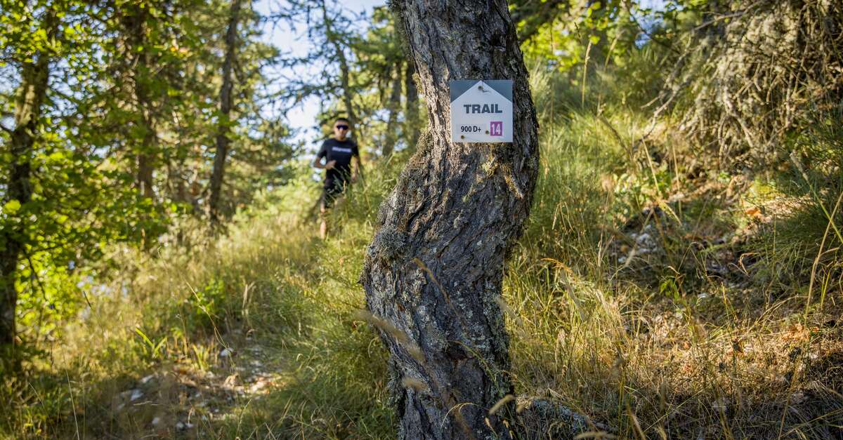 Parcours 14 – Le Roncheret (Annot) | Provence-Alpes-Côte d'Azur Tourism