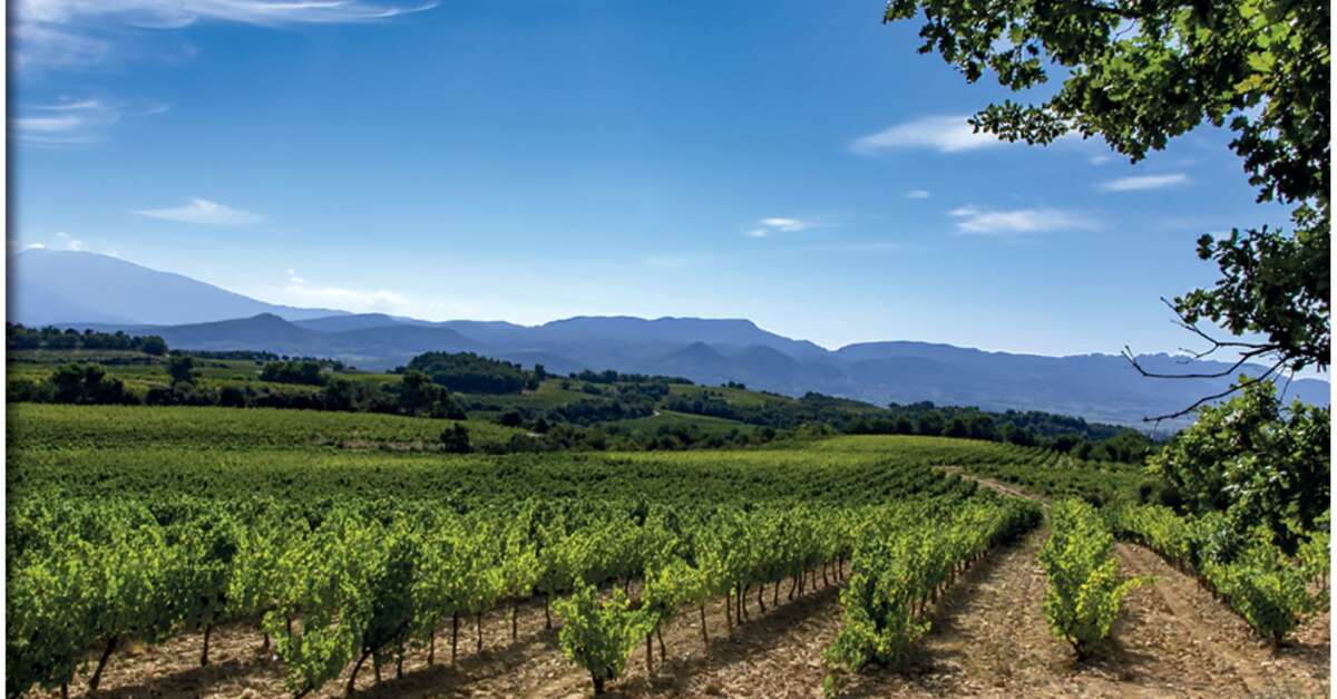 La randonnée de Rasteau par Terra Rando (Rasteau) | Provence-Alpes-Côte ...