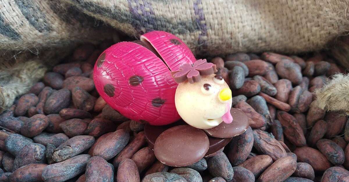 Le Moulin Robert (Saint-Bonnet-le-Château) | Loire Tourisme