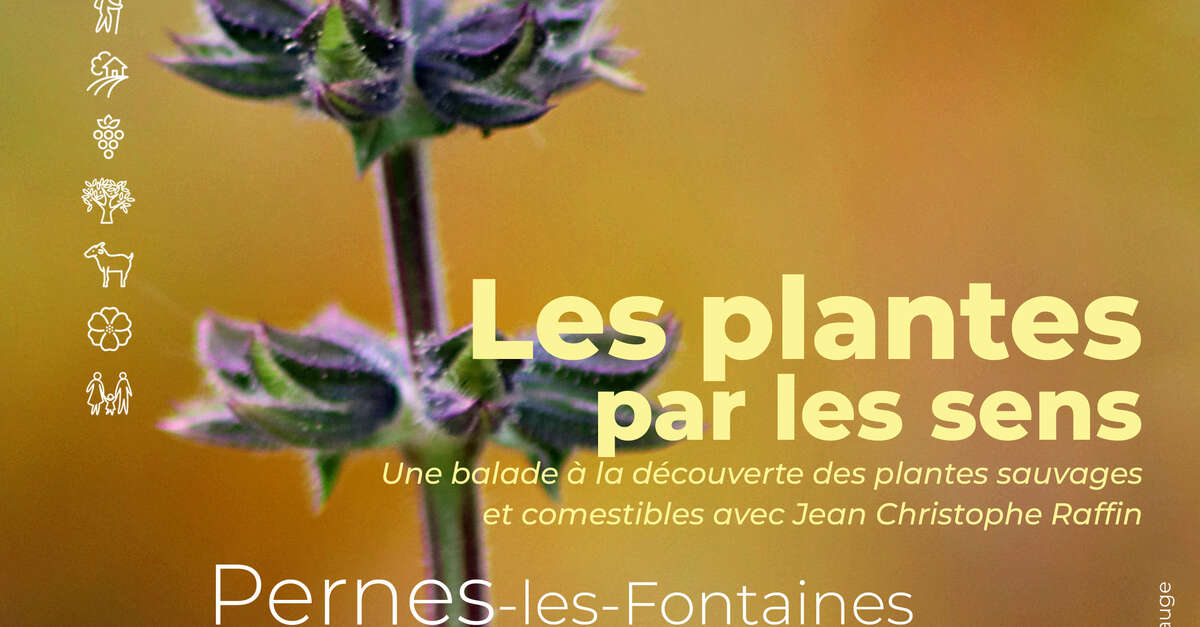 Les plantes par les sens (Pernes-les-Fontaines) | Provence-Alpes-Côte d ...