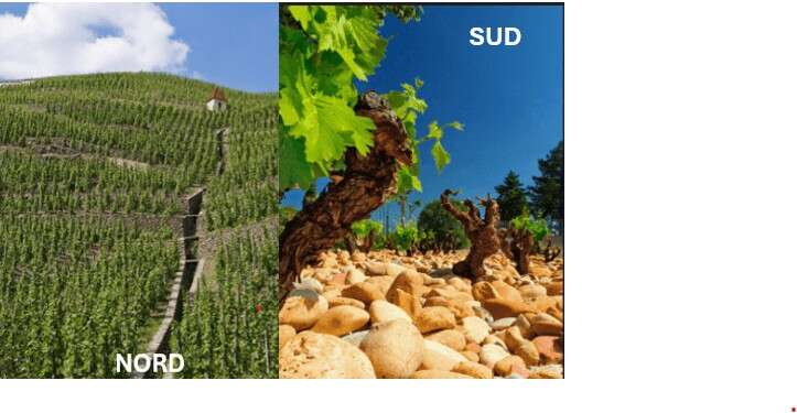 Ecole des Vins Workshop – The Battle of the North-South Crus (Avignon ...