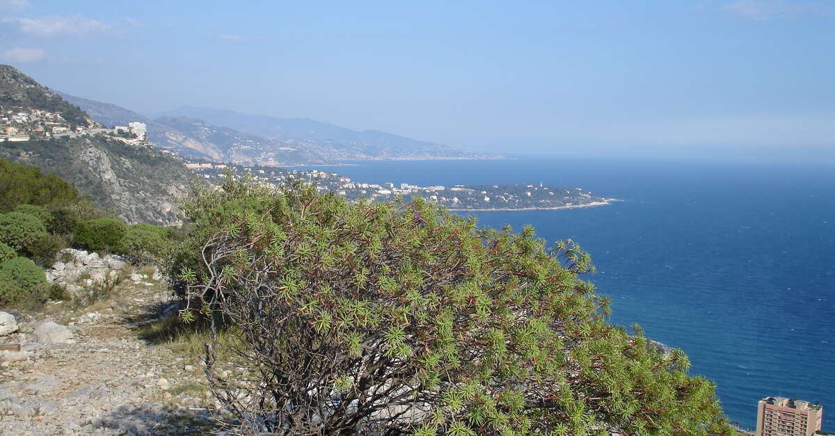 Walk to the Mont des Mules (Beausoleil) | Provence-Alpes-Côte d'Azur ...