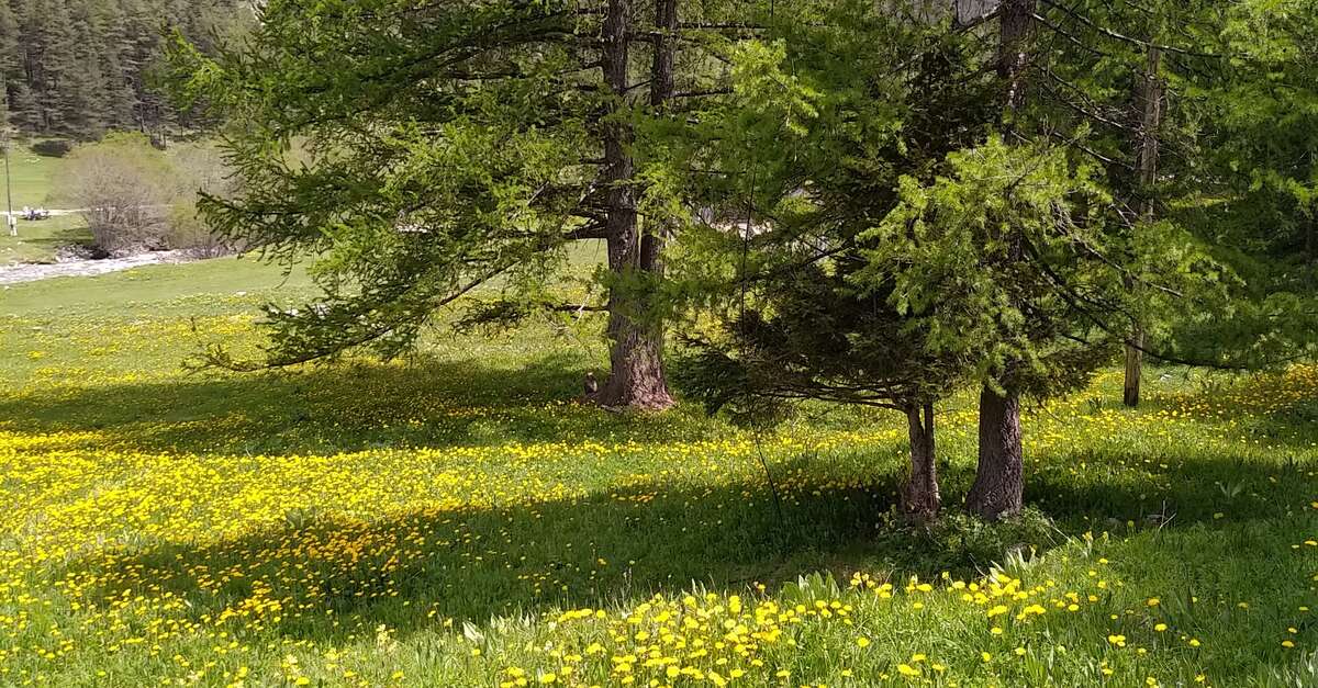 Randonnée pédestre – Boucle de Peyrafique (Tende) | Le Pass Cote d'Azur ...