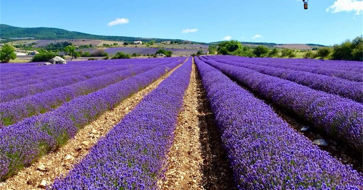 Alpes Provence Montgolfières (Forcalquier) | Provence-Alpes-Côte d'Azur ...