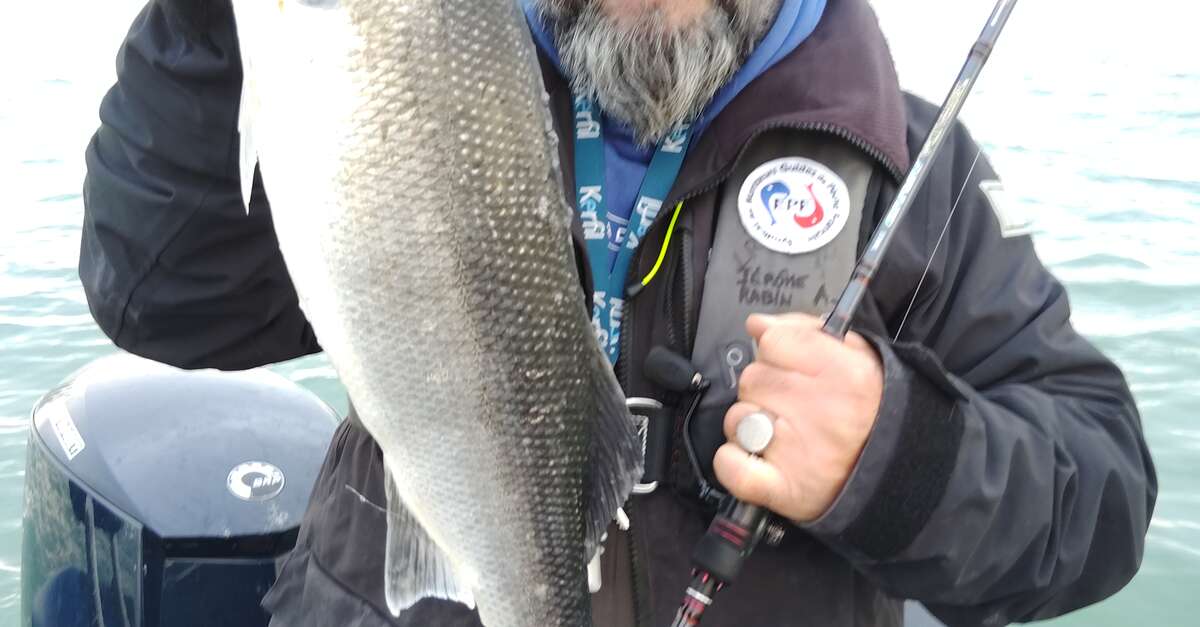 Pesca en el mar con un vivero y un guía de pesca de Ship and Fish (Ars ...
