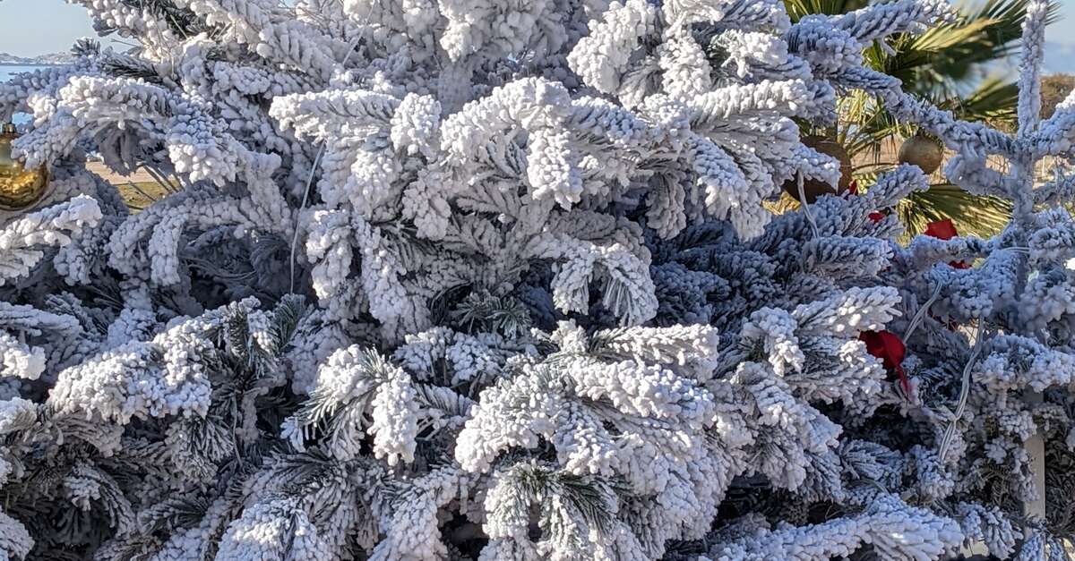Noël féerique quartier Notre-Dame du Mont (Marseille 6ème) | Oficina de ...