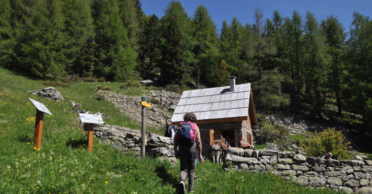 L’Amountagna (Villars-Colmars) | Provence-Alpes-Côte d'Azur Tourism