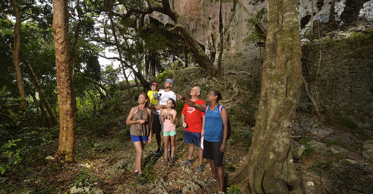 Les Joyaux de Luengöni (Lifou) | Nouvelle-Calédonie Tourisme : Le site ...