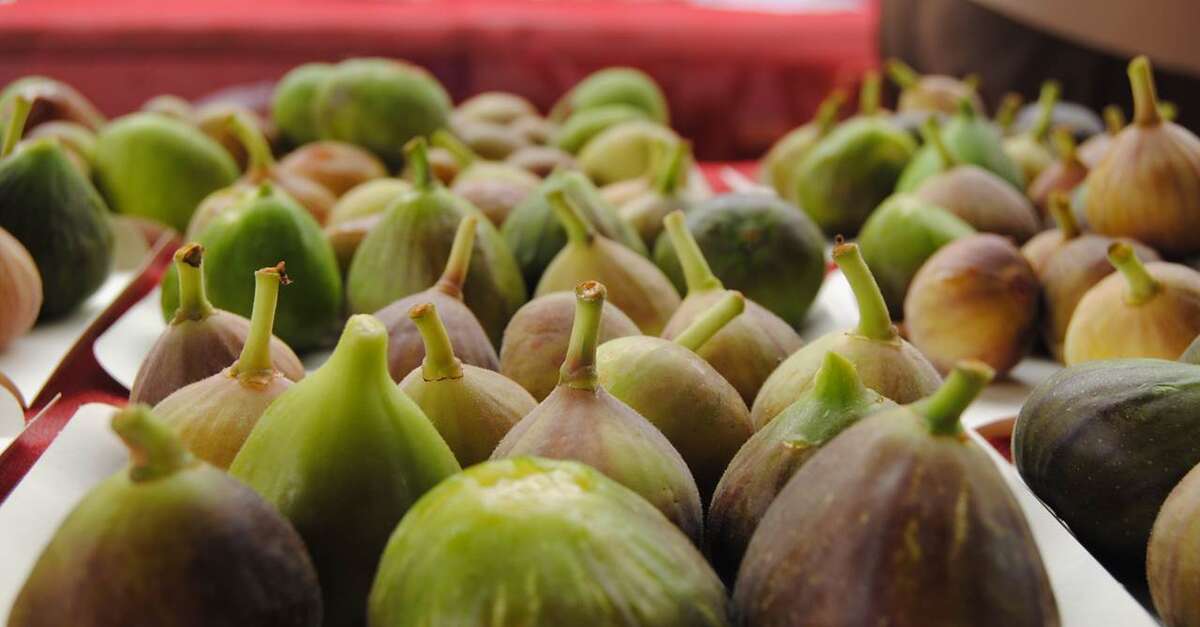 Les Tindoulets de la Figo (Le Mas-d’Azil) | Office de tourisme des ...