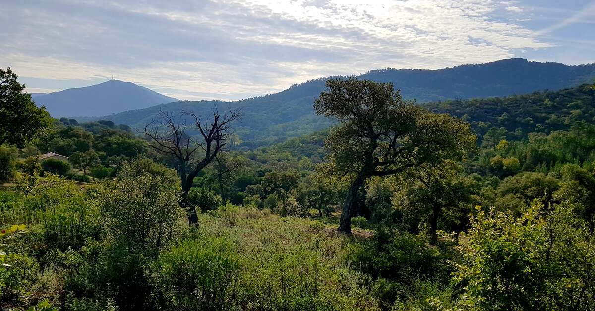 Randonnée VTT /VTTAE – Parcours Vtt 2 – Facile -Label FFC (Le Plan de ...