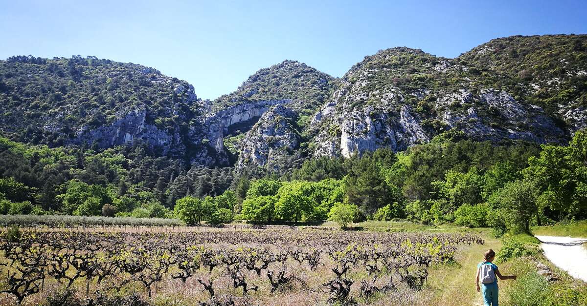 Horizons Luberon - Collectif d'accompagnateurs en Montagne - Apt ...