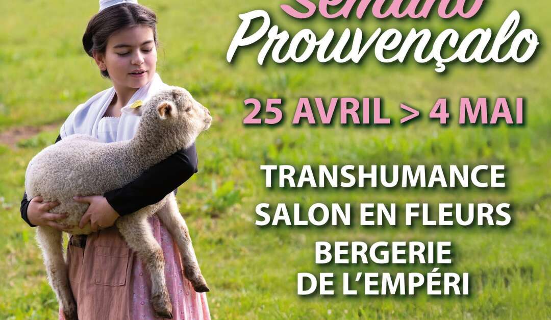 Semaine Provençale (Salon-de-Provence) | Provence-Alpes-Côte d’Azur ...