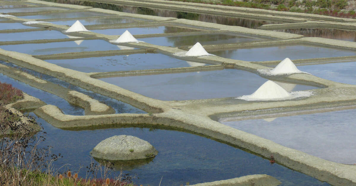Visite guidée de l’Écomusée et découverte du marais salant (Loix) | Destination Île de Ré – Site ...