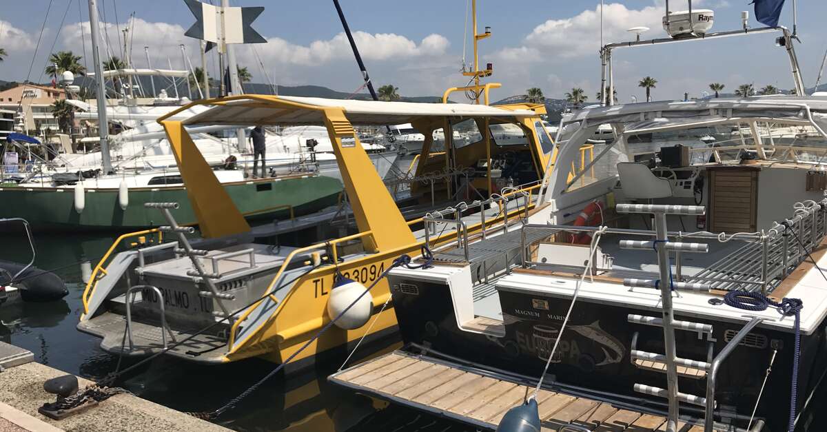 Mio Palmo Plongée (Cavalaire-sur-Mer) | Côte d’Azur France / French Riviera