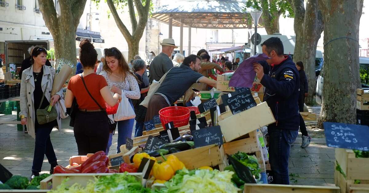Avignon centre-city market (Avignon) | Avignon Tourisme