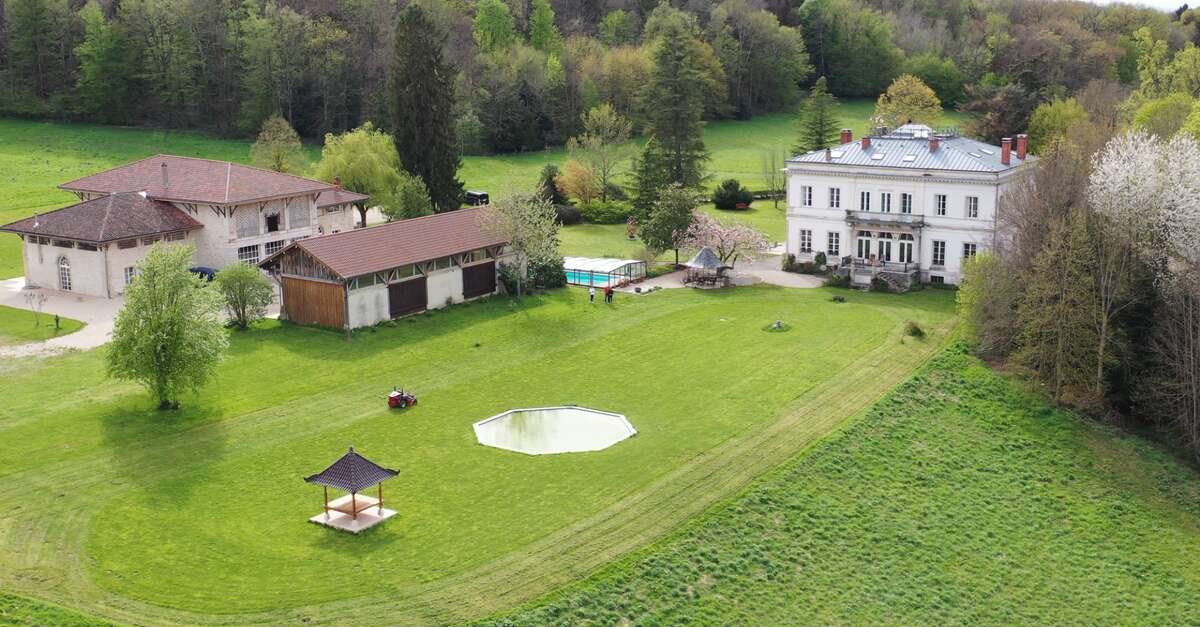 Festival Forêt Vivante « Le mystère des arbres » (Bourg-en-Bresse) | L'Ain