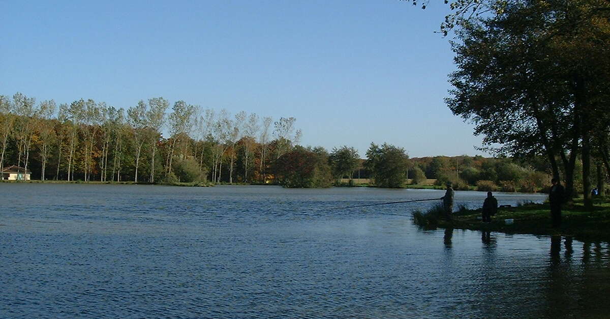 Etangs Grand Chaux et Laclet (Saint-Nizier-le-Désert) | Dombes Tourisme ...
