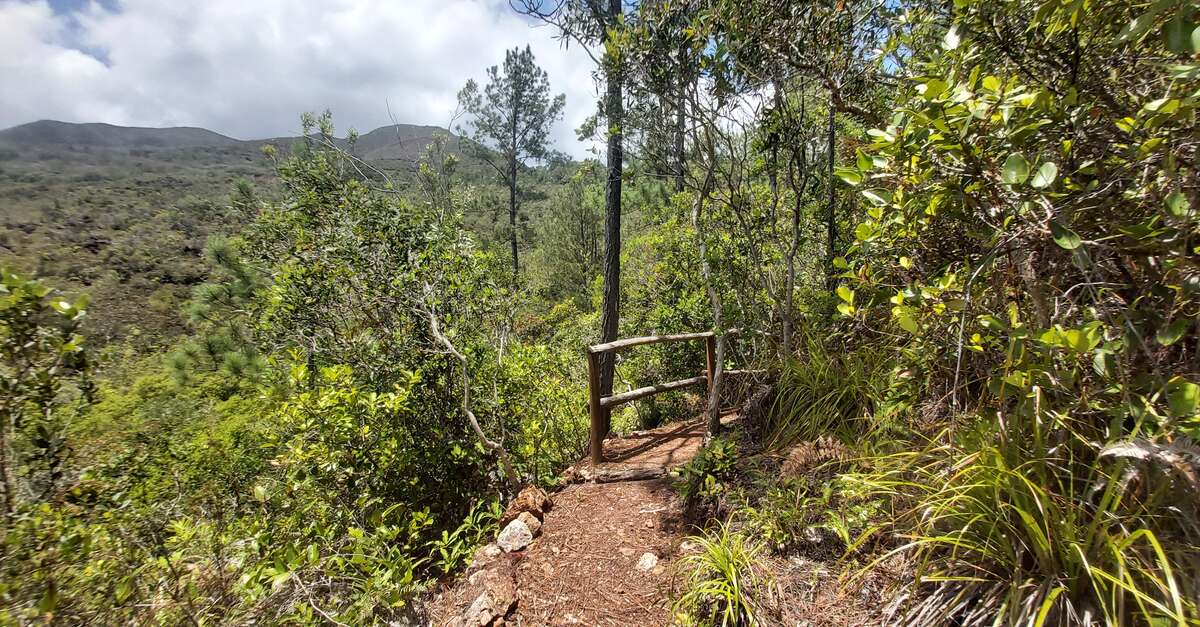 Sentier du Millénaire au Mont Goumba (Mont-Dore) | Sud Tourisme ...