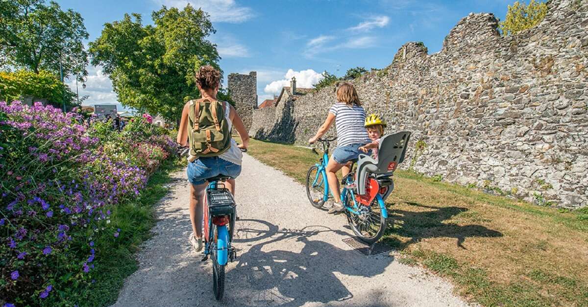 Location de vélos à assistance électrique – BIT Sciez port (Yvoire ...