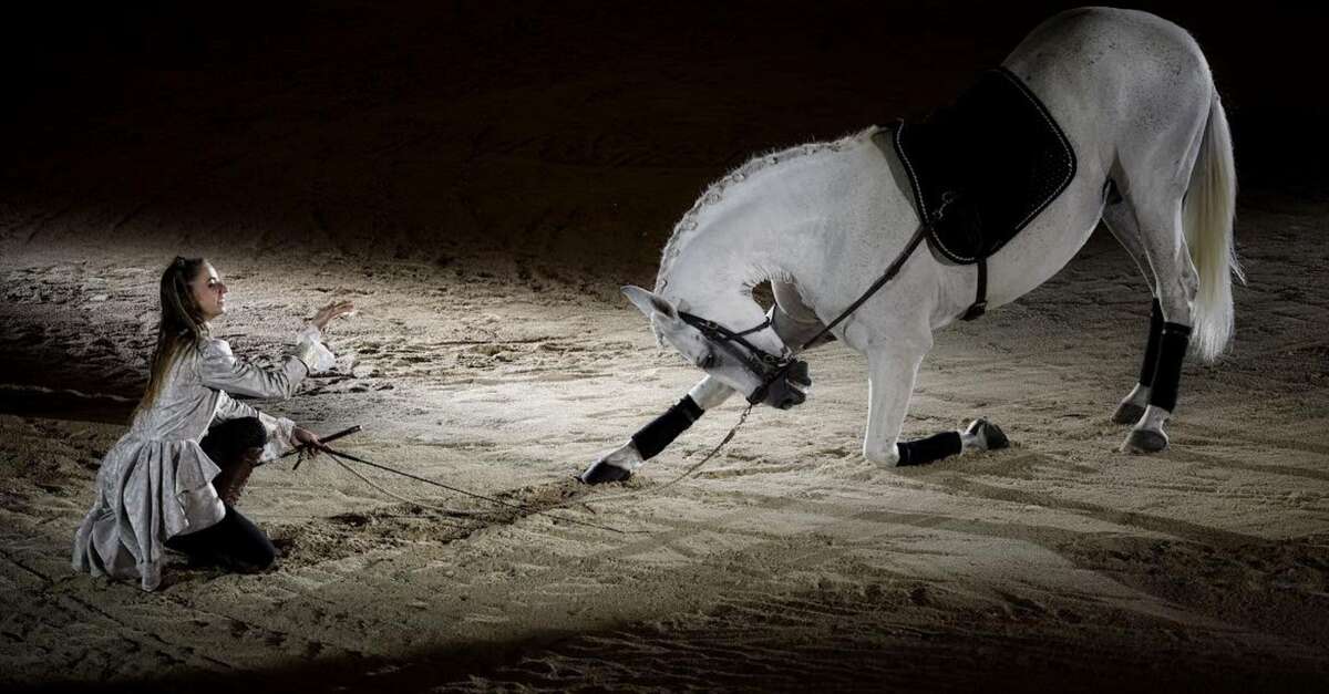 Spectacle 2026 du Cabaret Équestre des Mylords/”Les 4 Saisons des ...