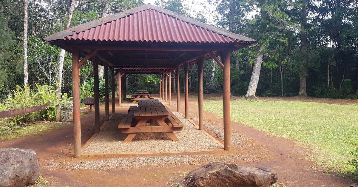 Camping at the Bois du Sud (Yaté) | New Caledonia Tourism: The official ...