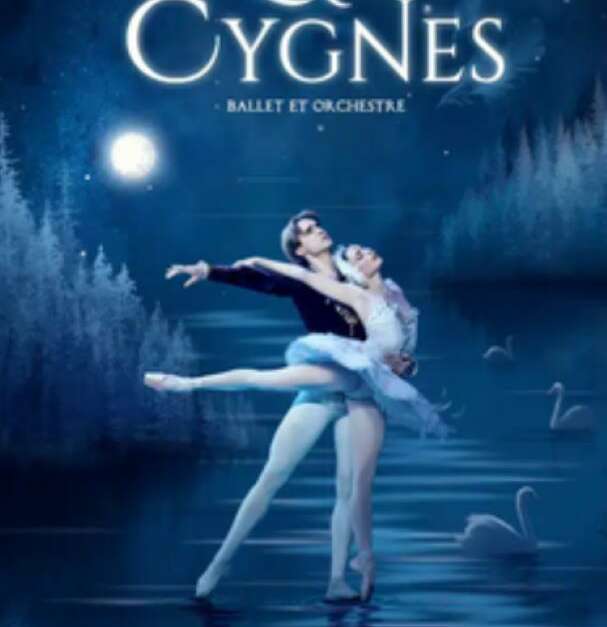 Le lac des cygnes (Marseille 4ème) | Provence-Alpes-Côte d'Azur Tourisme