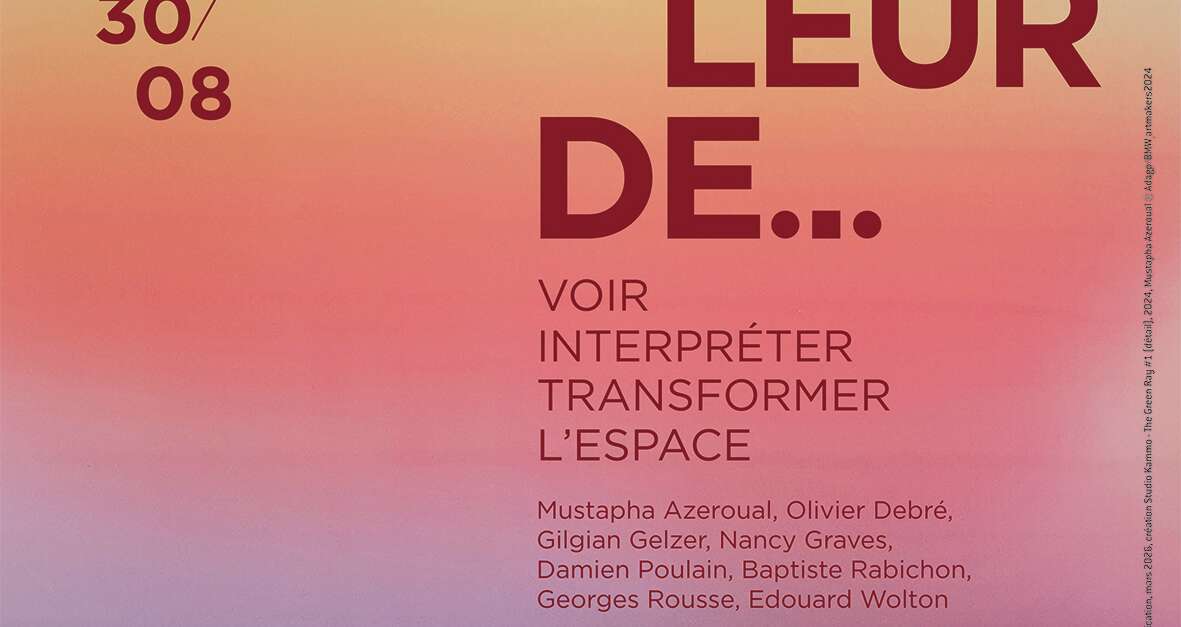Sous couleur de…. DANSE (Bourg-en-Bresse) | L'Ain