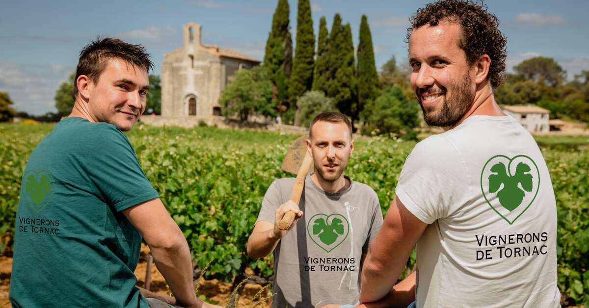 Cave Coopérative Des Vignerons de Tornac (Tornac) | Cévennes Tourisme