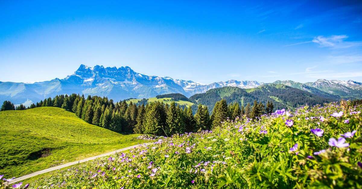 Tour des alpages (Champoussin, Val-d’Illiez) | Portes du Soleil