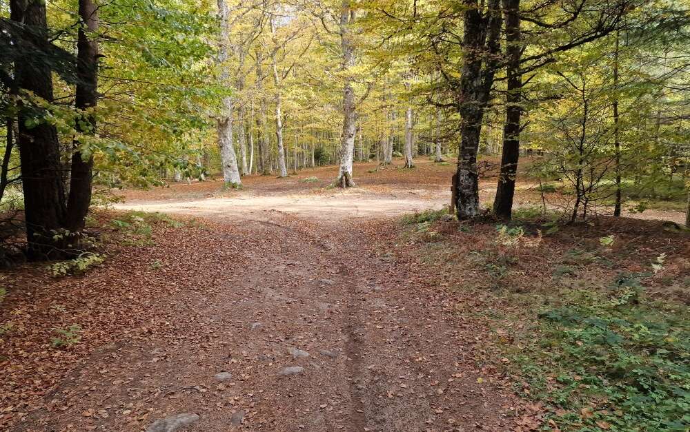 Parcours 3 jaune (Marols) | Loire Tourisme