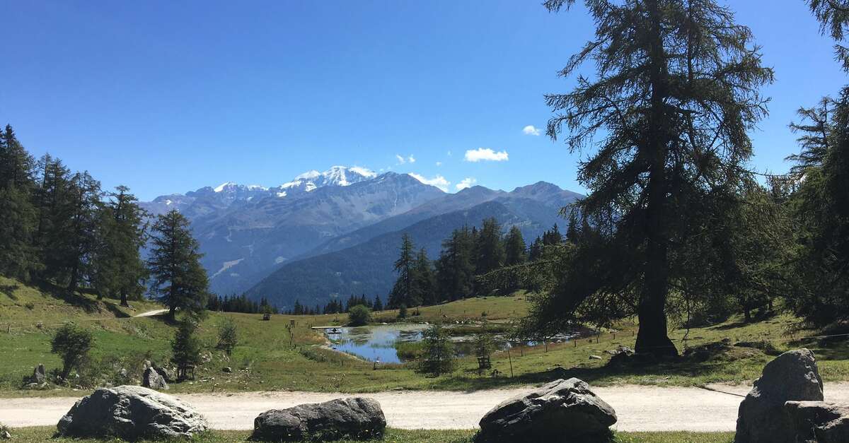 Buvette d’alpage du Lein (Vollèges) | Verbier - Val de Bagnes | Office ...