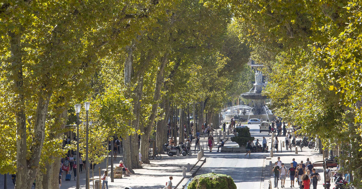 The Cours Mirabeau (Aix-en-Provence) | Provence-Alpes-Côte d'Azur Tourism