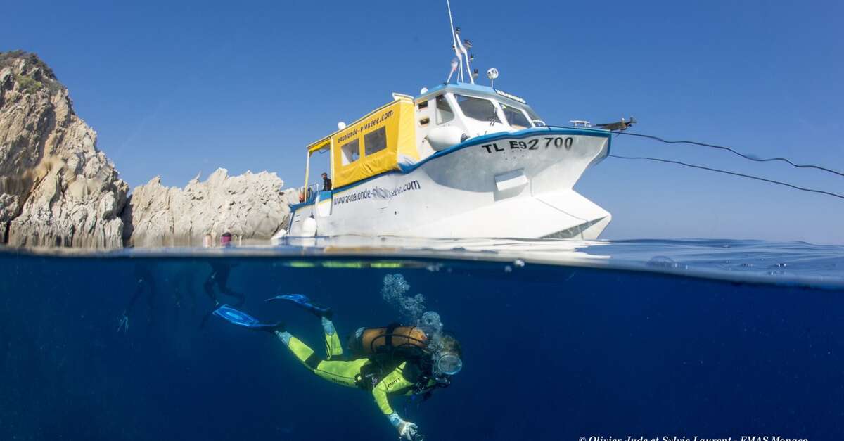 Nouvelle formation plongée sous-marine Open Water – PADI à Aqualonde ...