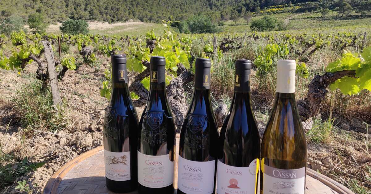 Domaine de Cassan (Lafare) | Provence-Alpes-Côte d'Azur Tourisme