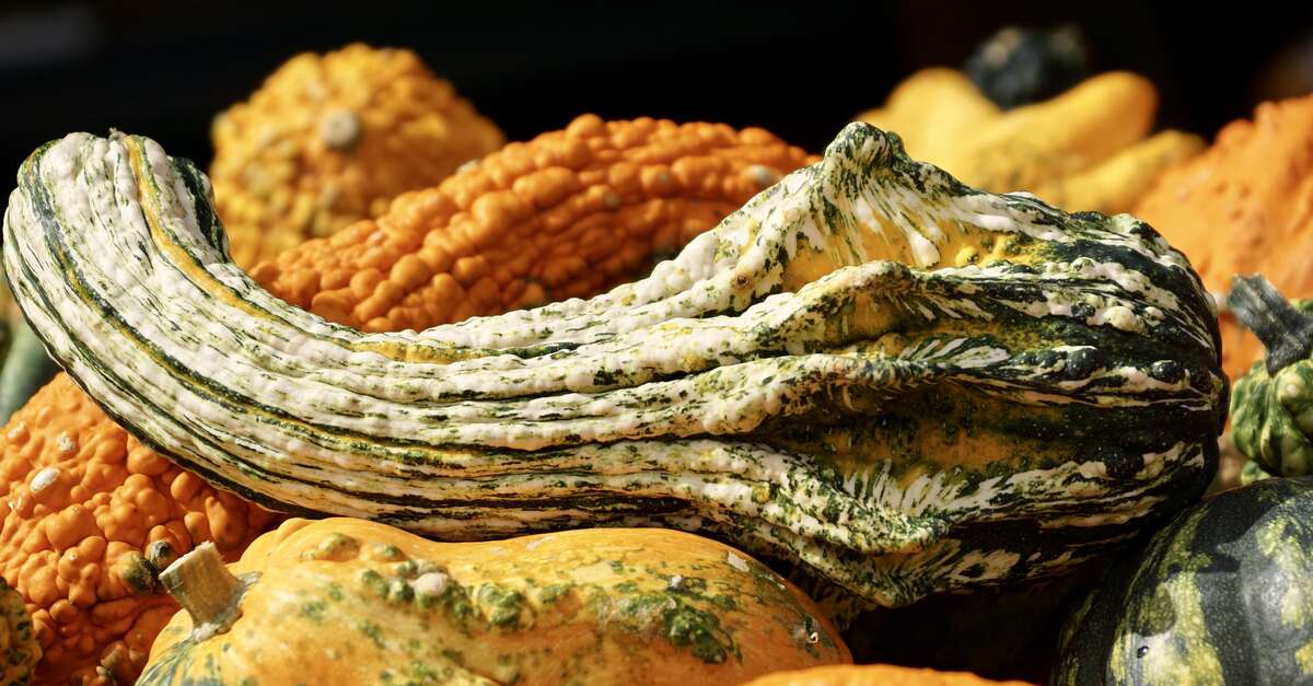 Marché vert (Pierrevert) | Provence-Alpes-Côte d'Azur Tourisme