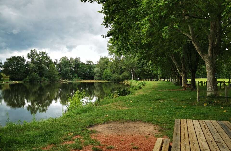 Aire de pique-nique Etang du Merlin (Mably) | Loire Tourisme
