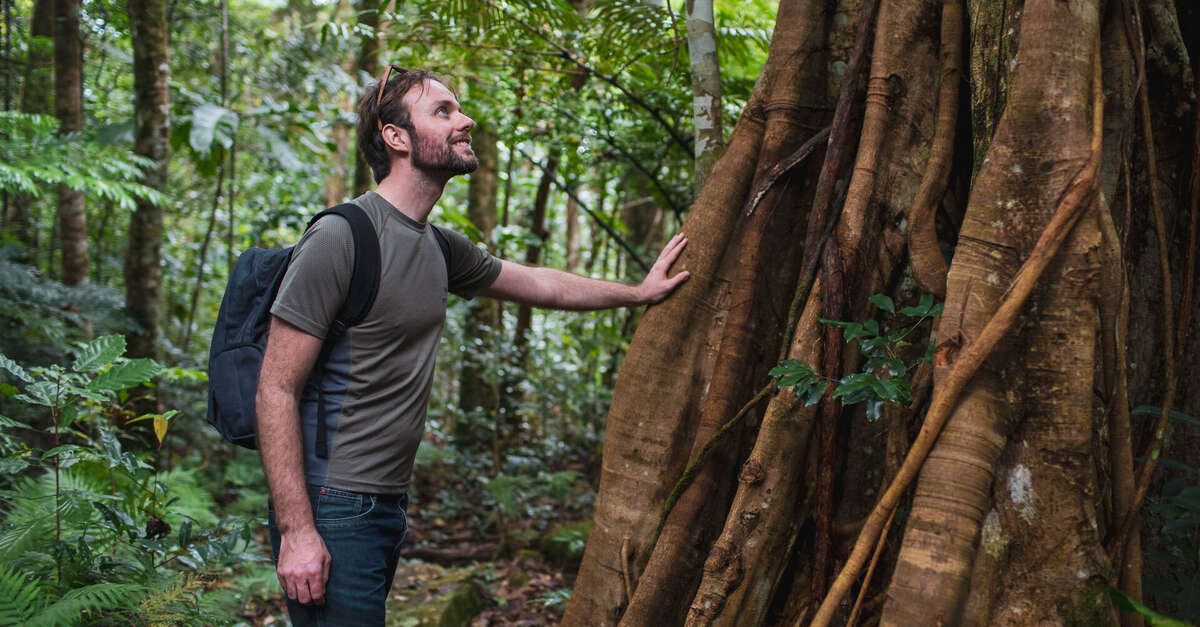 Guided visit of Mont Koghi and it’s rain forest – ETIC NC (Dumbéa ...