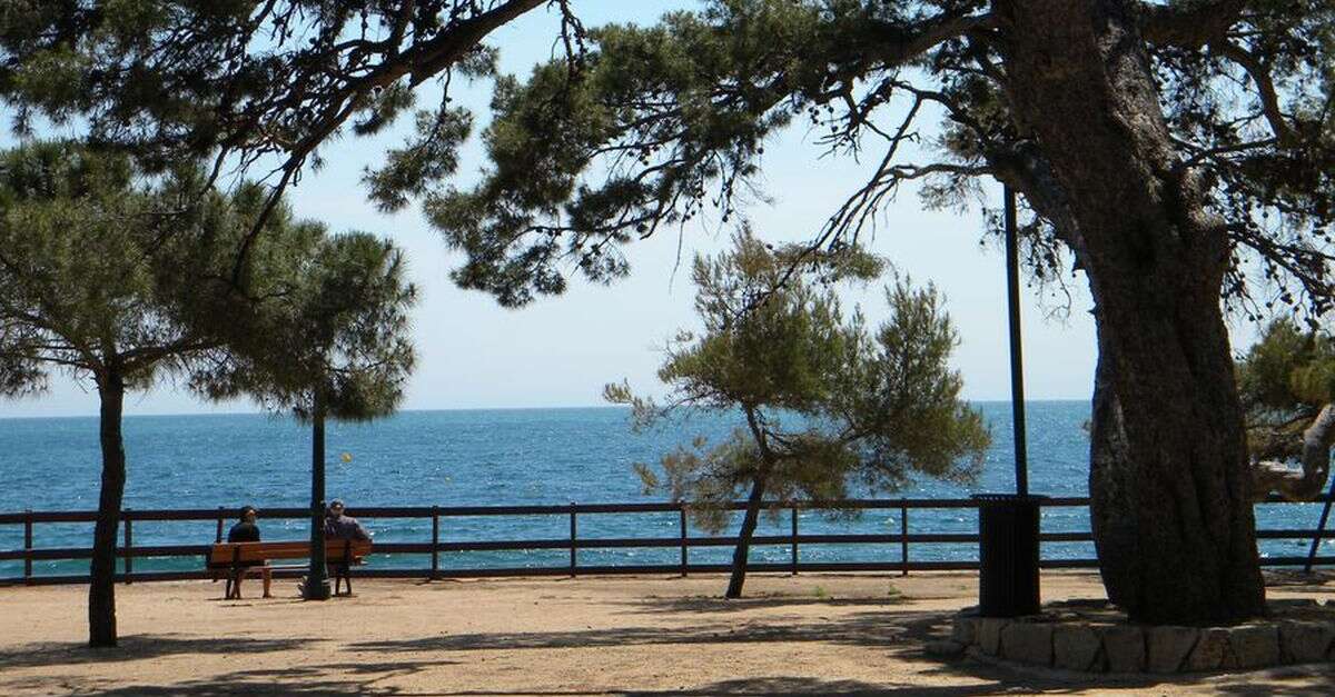 Parc des Pins Penchés (Carqueiranne) | Provence-Alpes-Côte d'Azur Tourism