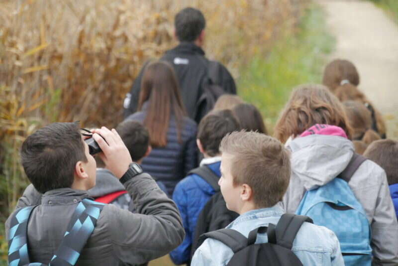 Balade naturaliste au Sentier des vignerons de Violès (Violès ...