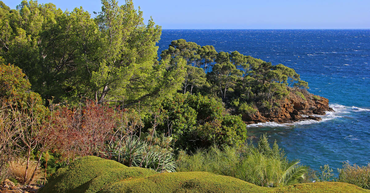Après-midi découverte du Domaine du Rayol (Rayol-Canadel-sur-Mer ...