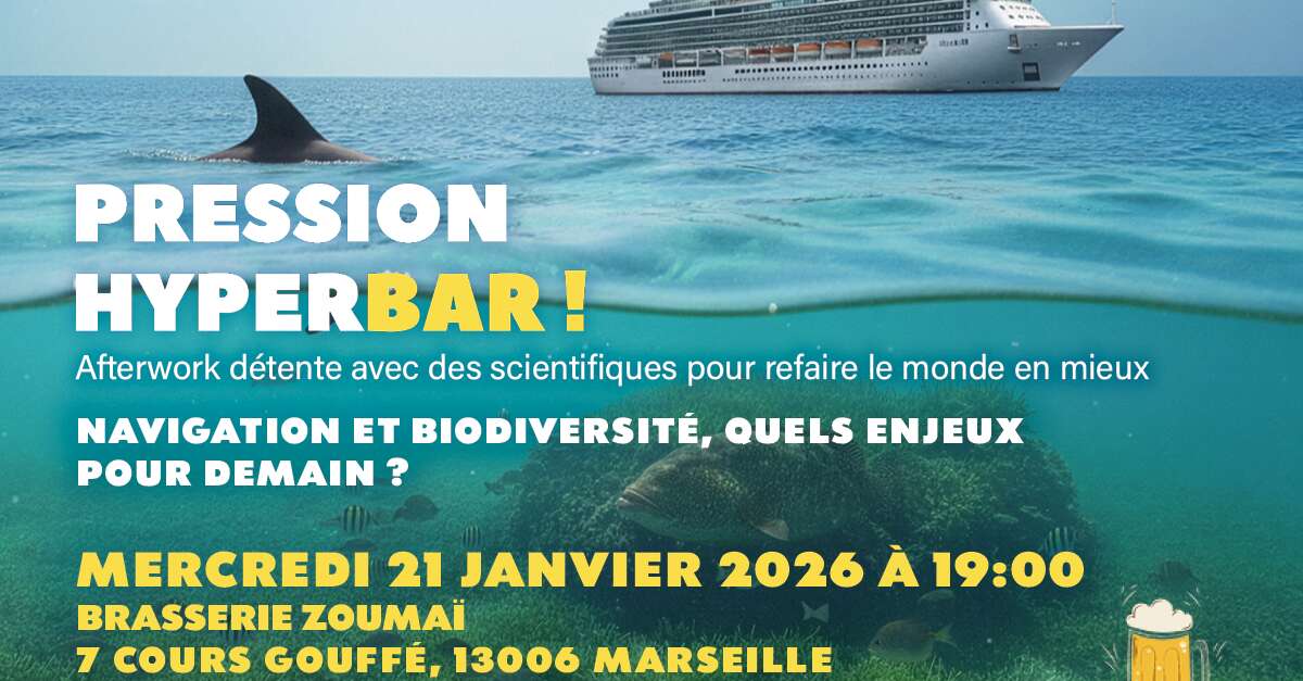 Pression Hyperbar ! Navigation et biodiversité, quels enjeux pour ...