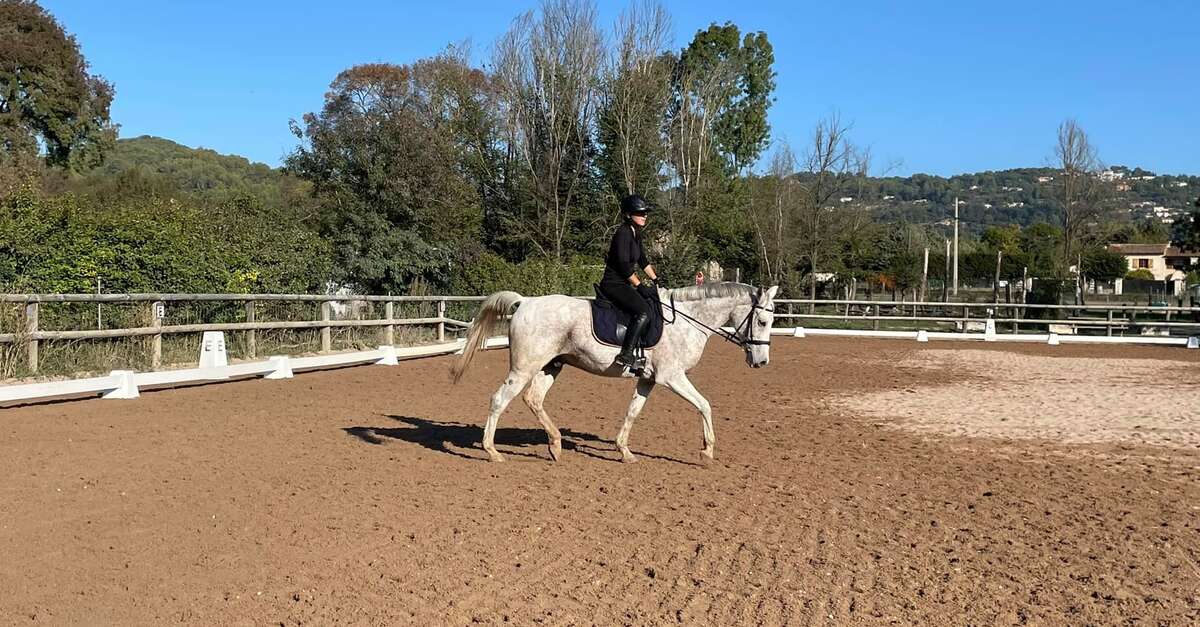 Les Ecuries de Baracka (Callian) | Provence-Alpes-Côte d'Azur Tourisme