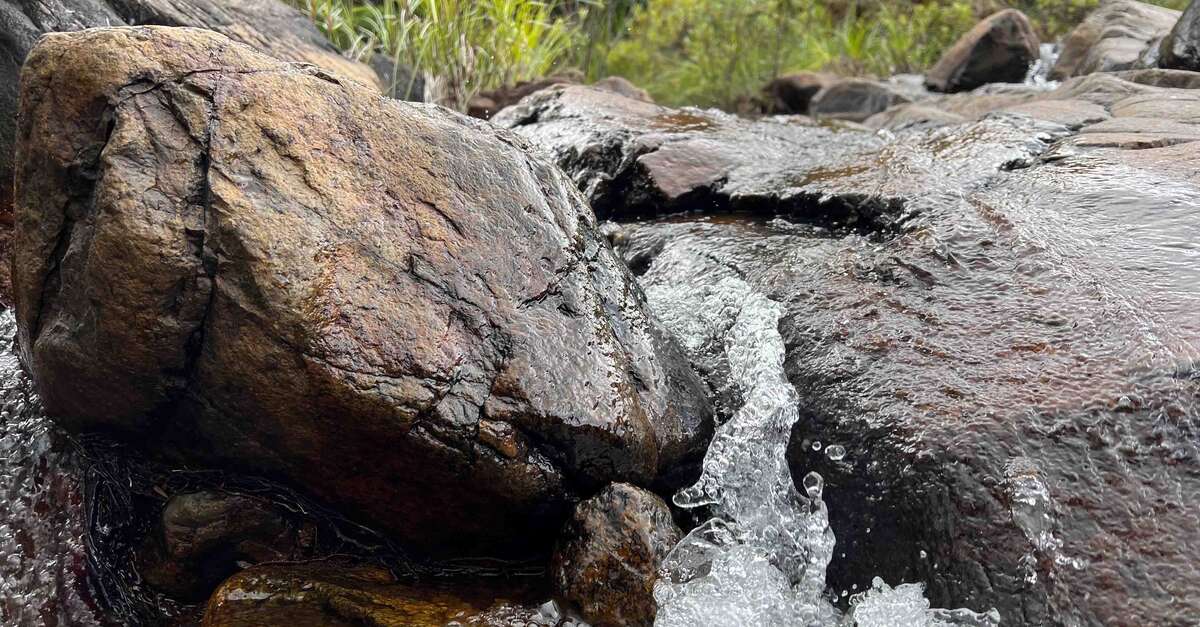 Dumbéa River (Dumbéa) | New Caledonia Tourism: The official website for ...