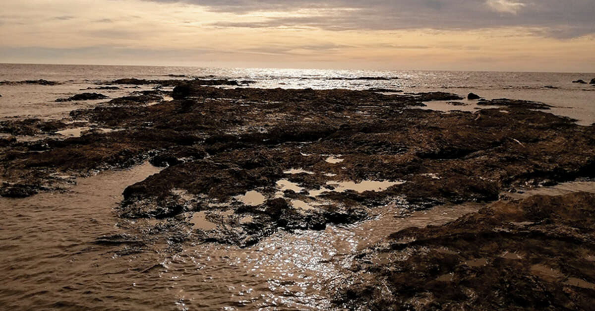 Stage photo découverte sur la presqu’île du Gaou (thématique variable ...