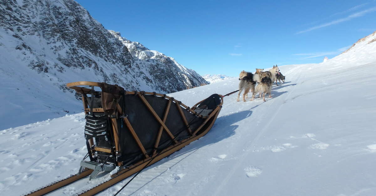Sitting dog sledding baptism (Molines-en-Queyras) | Provence-Alpes-Côte ...