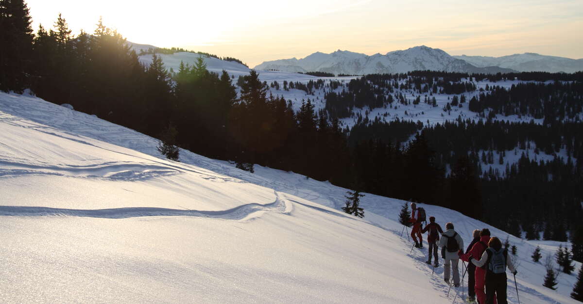 Nocturne sur les traces du Dahu (Les Saisies) | Bienvenue ! Les Saisies