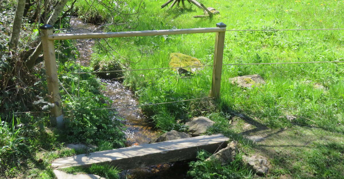 Pêche dans la rivière Furan - Rochetaillée | Office de Tourisme du Pilat